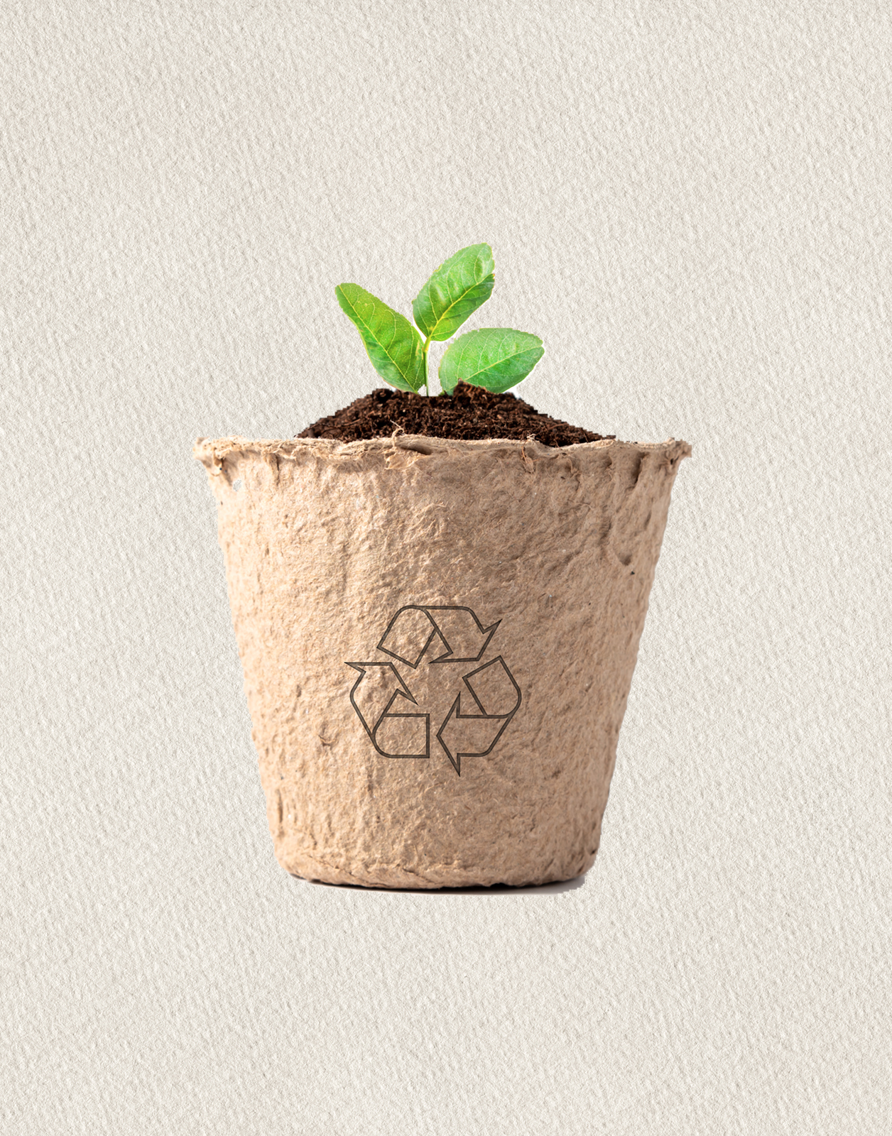 TARAPLUS | TARA+ AG | BESPOKE FRESH FOOD PACKAGING ARCHITECTS